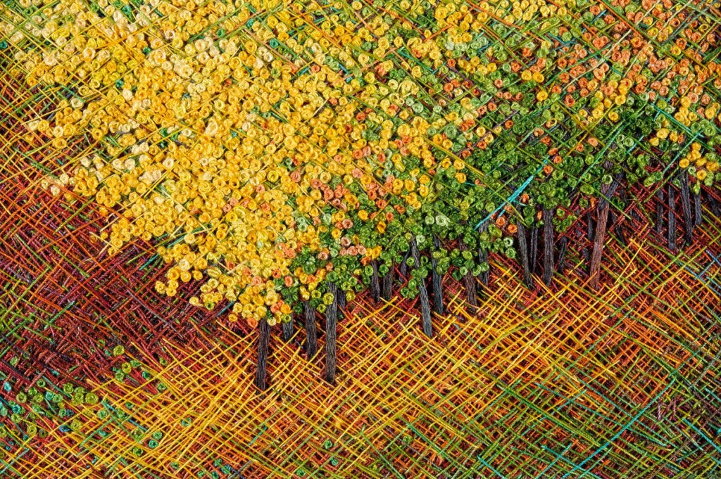 Forests – Private Collections | Martha Fieber