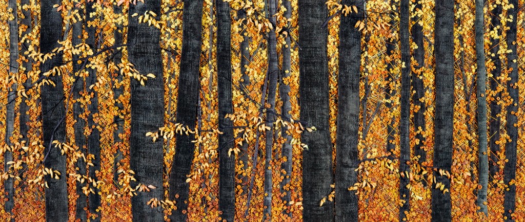 Forests – Private Collections | Martha Fieber